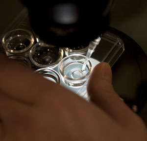 Study finds children born using assisted reproductive technologies face ...