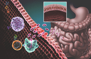 Scatological Success: Fecal Transplants to Treat Bacterial Infections ...