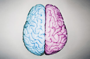 Study: Why Some Transgendered People Have Higher Levels of Autistic ...