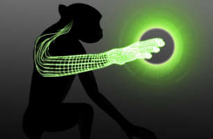 Monkey Brain Control: The Future of Robotic Prostheses? | TIME.com