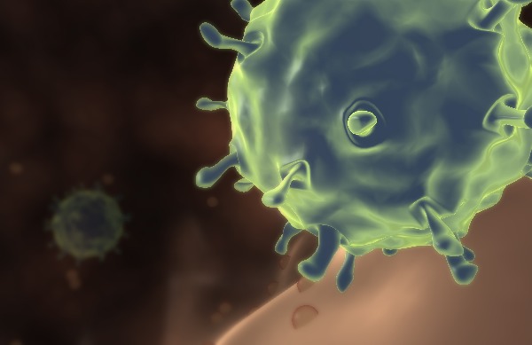 H5N1: Bird Flu Pandemic May Be Closer than We Thought, Study Finds ...