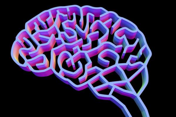 Q&A: What the Brain Reveals About the Self — And Self Control | TIME.com
